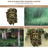 Bits and Pieces Old Man Tree Hanging Planters Sculpture Garden Peeker ...