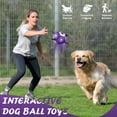 QDAN, Dog Soccer Ball, 5-inch, Durable Waterproof Interactive Toy ...