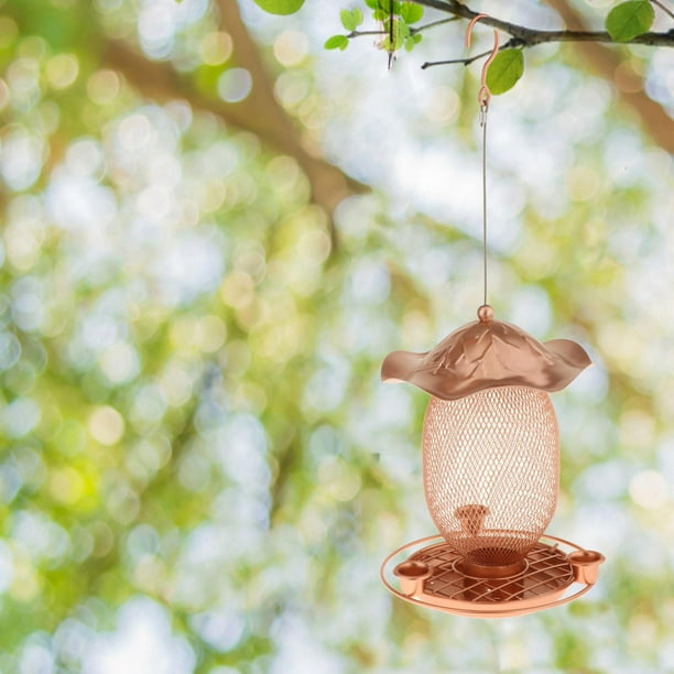 Anti Squirrel Bird Feeders Outdoor Hanging Bird Feeder for Blue Jay ...