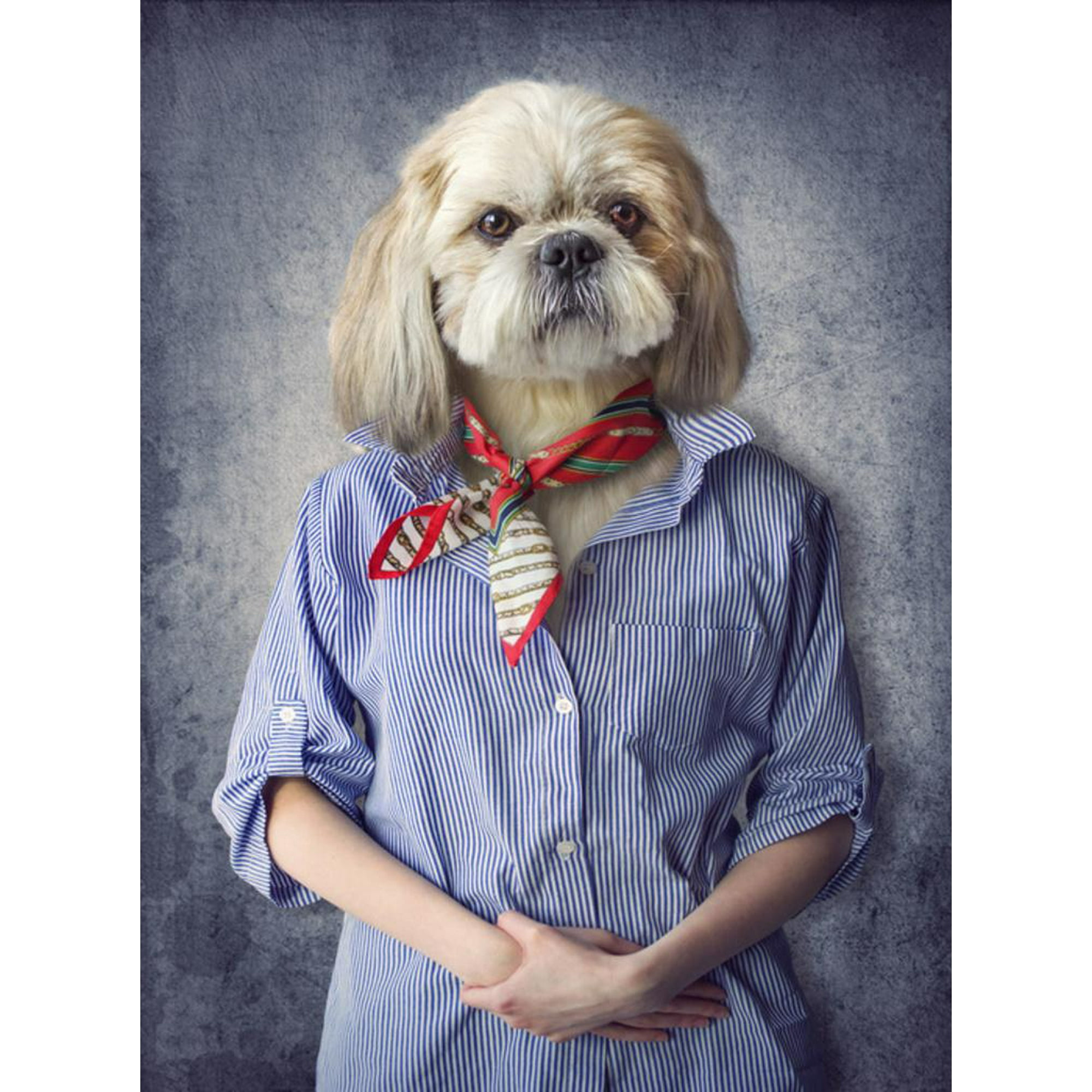 Dog Human Clothes