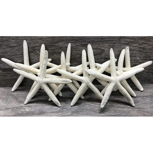 Artificial Starfish Crafts