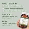 Native Remedies Sea Moss & Shilajit Complex - Natural Energy & Immune ...