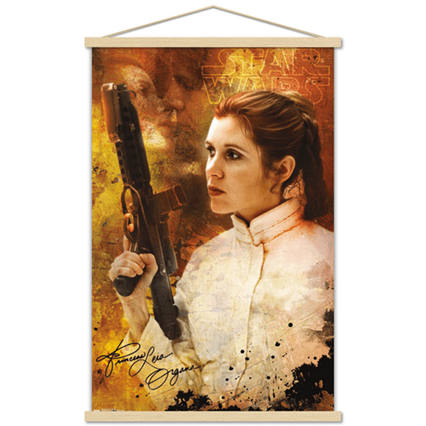 Star Wars: Saga - Princess Leia - Signature Wall Poster with Magnetic ...