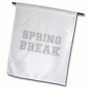 Spring Break Banner