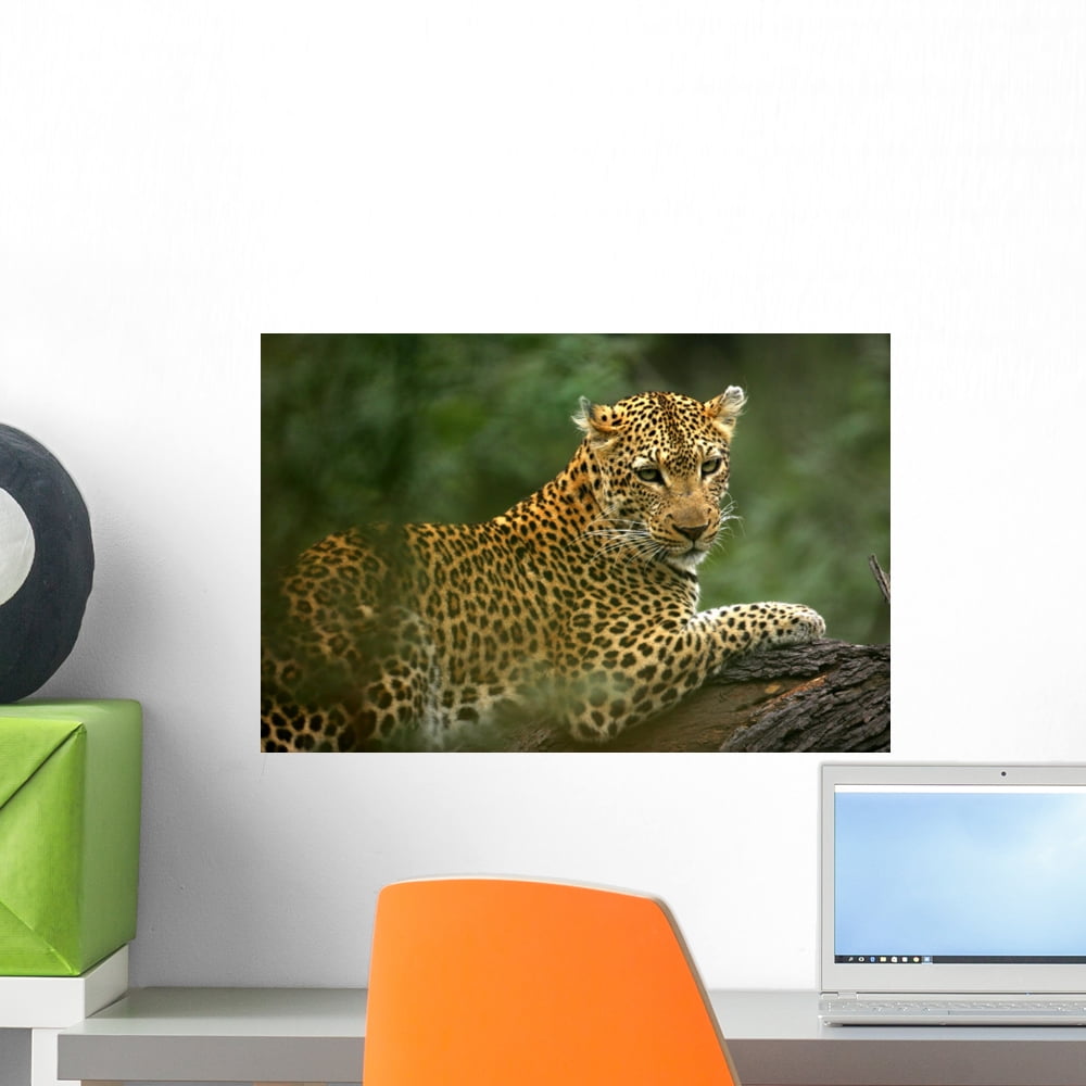 Leopard Wall Mural Decal by Wallmonkeys Vinyl Peel and Stick Graphic ...