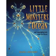 God Made: God Made the Ocean (Board Book) - Walmart.com