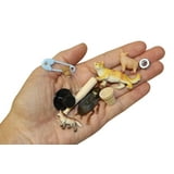 CVC Alphabet Object Set - FULL SET - CVC Words Alphabet Objects and ...