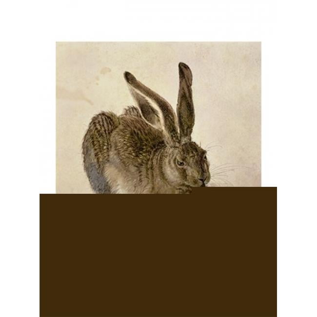 Young Hare Albrecht Durer