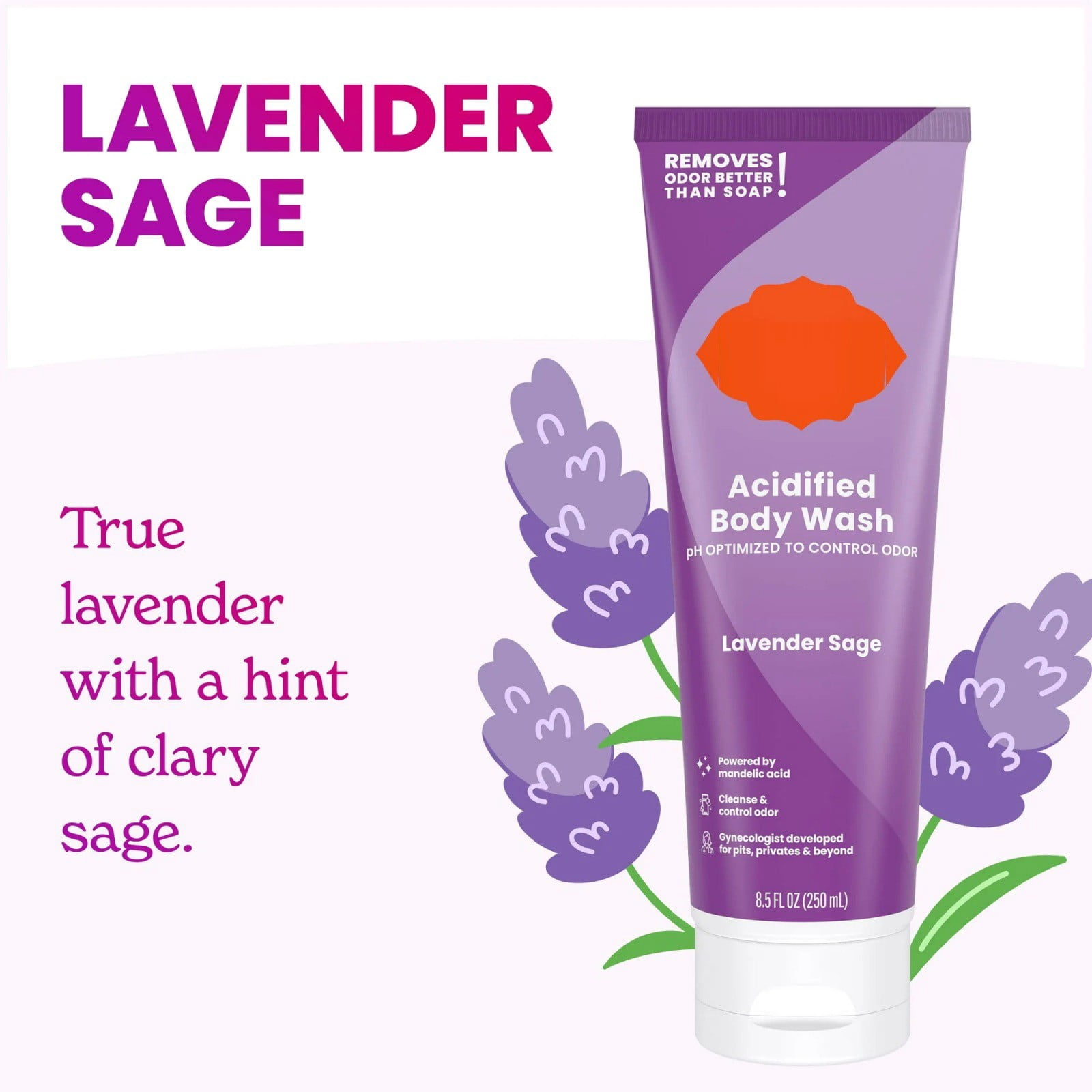 Acidified Body Wash - 24 Hour Odor Control - Odor Better Than Soap ...