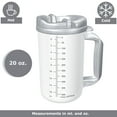Whirley Reusable Insulated Drinking Mug, Clear Plastic, 20 oz with ...