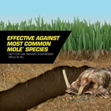 (2 pack) Tomcat Mole Killerₐ, Mimics Natural Food Source, Poison Kills ...