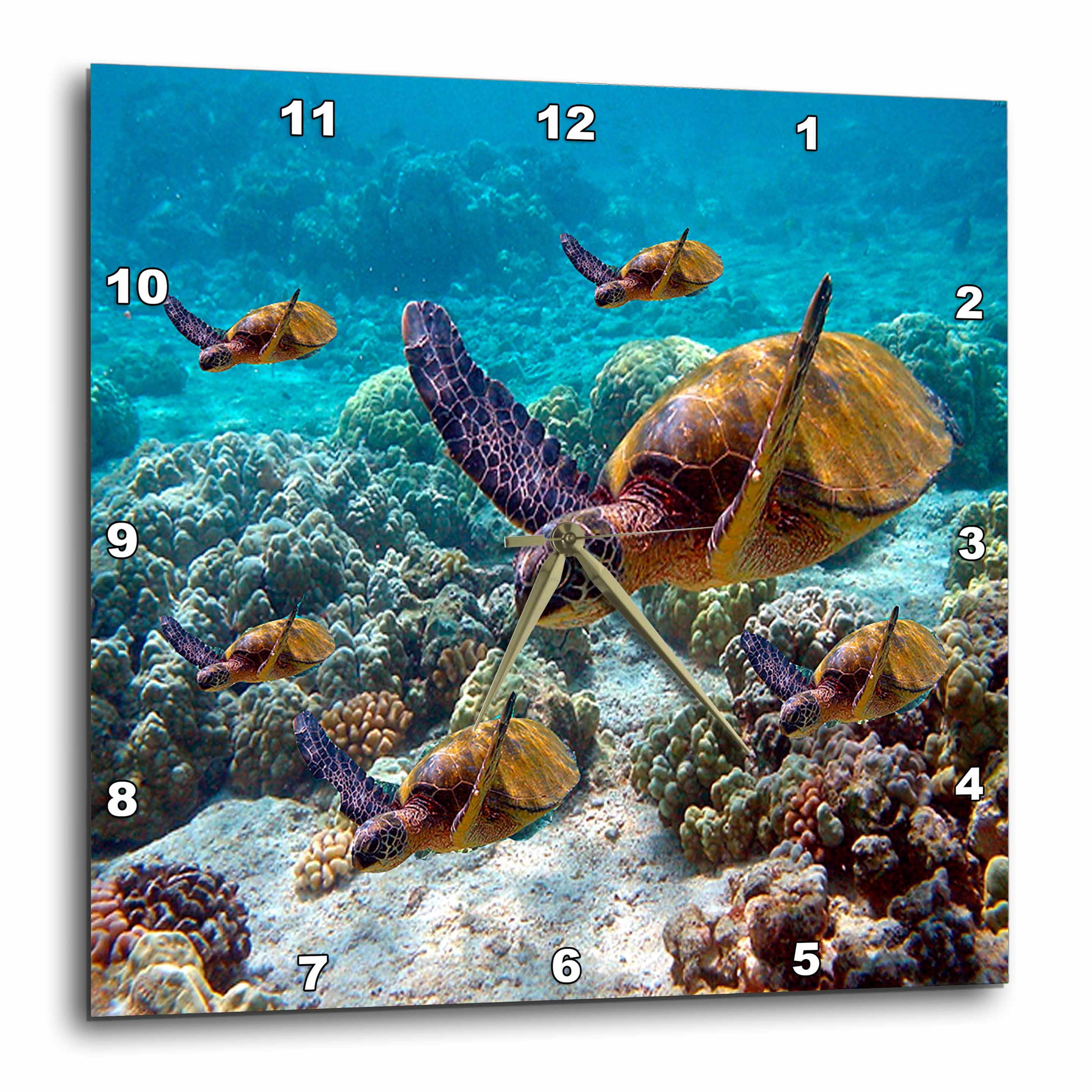 3dRose Sea Turtles - Wall Clock, 13 by 13-inch - Walmart.com