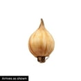 Dutch Iris Mxture Dormant Flowering Bulbs (12-Pack) - Walmart.com