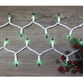 3 Pack LAMPHOME St. Patrick's Day String Light,100 Count Green ...