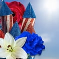 6pc Patriotic Glittered Rocket Picks - for 4th of July and Patriotic ...