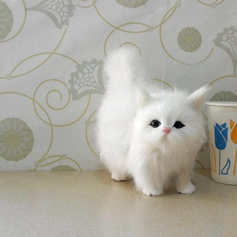 Chaton Doux Vente En Gros De Jouets En Peluche Doux Pour Chat, Animaux