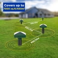 #1 Solar-Powered Mole, Vole, Gopher & Groundhog Repellent - Ultrasonic ...