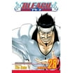 Bleach Bleach, Vol. 14, (Paperback) - Walmart.com