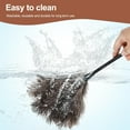 2026 Household Hot Pick Mini Plastic Handle Ostrich Feather Duster ...
