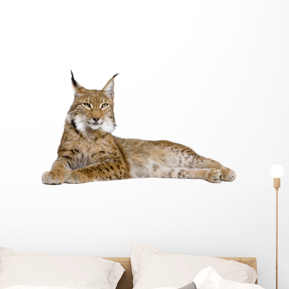 Eurasian Lynx Lynx Lynx Wall Decal by Wallmonkeys Peel and Stick ...