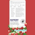 Bushel & Berry Raspberry Shortcake Live Shrub in 2-Gallon Grower Pot ...