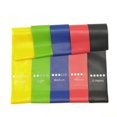 Latex Loop Bands with 5 Resistance levels Exercise bands Home Workout ...