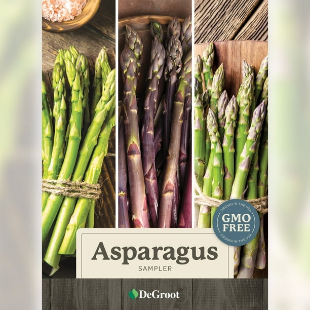 Asparagus Sampler - Walmart.com