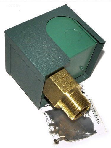 Raypak 007142F Flow Switch - Walmart.com