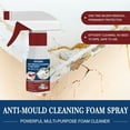 Qonioi Antimould Spray Cleaner, Powerful Mould Remover Foam for Tiles ...