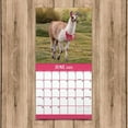 2020 Llamas Mini Calendar - Walmart.com