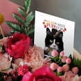 3drose, Cute Tuxedo Black and White Cat with Feline Humor for Turkey ...