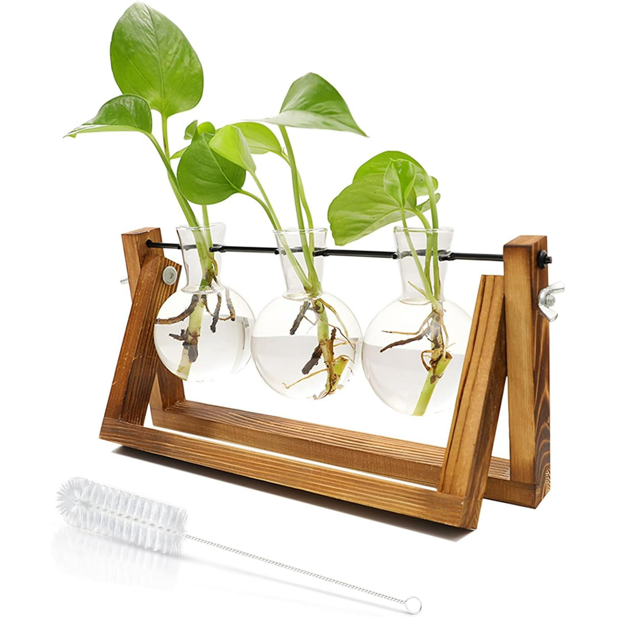Click here for Salafire Propagation Station  Plant Terrarium Prop... prices