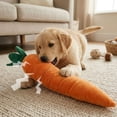 Chew For Aggressive Chewers Interactive Carrot Shape Puppy Teething For ...