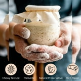 Living Dough Live Sourdough Starter Culture 233 Yr Old SF - Walmart.com