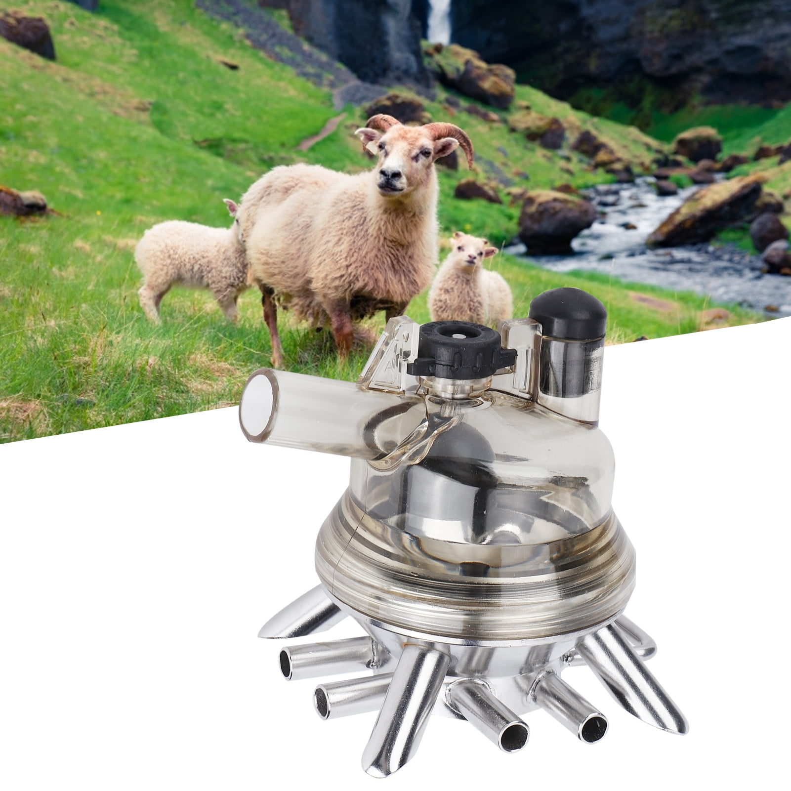 Cow Milking Claw, Stainless Steel 925g 1 PCS Milking Collector, For ...