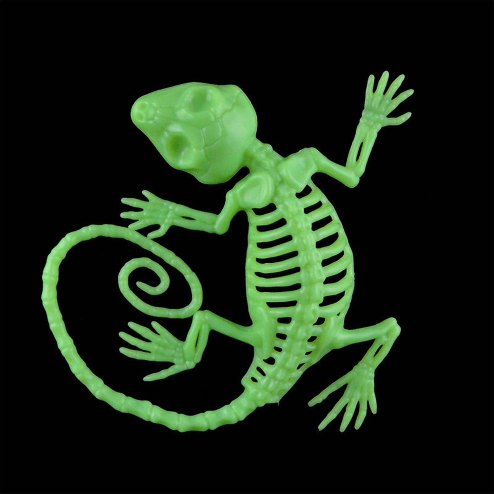 Toys For 1 Year Old Girls Best Sellers Prime Halloween Animal Skeleton toys-for-1-year-old-girls-best-sellers-prime-halloween-animal-skeleton