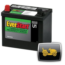 Everstart Plus Lead Acid Automotive Battery Group Size 34