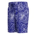 Boys' Swim Trunks - UPF 50+ Sun Protection - Island in Cobalt Maui ...