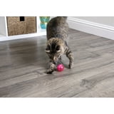 SmartyKat FlickerBall Electronic Light Cat Toy - Walmart.com