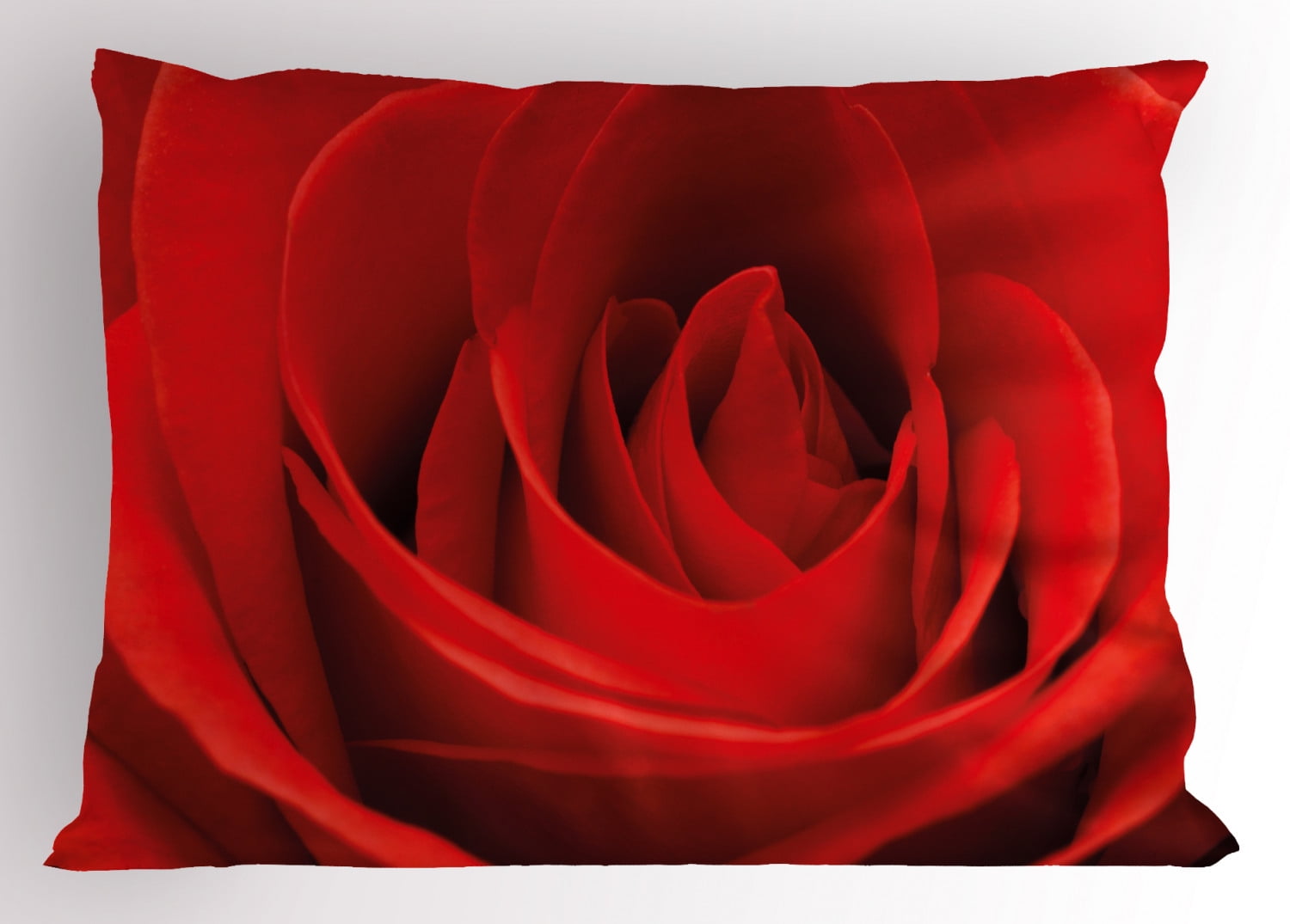 Rose Pillow Sham Close Up Macro of a Red Rose Bloom Fresh Natural ...