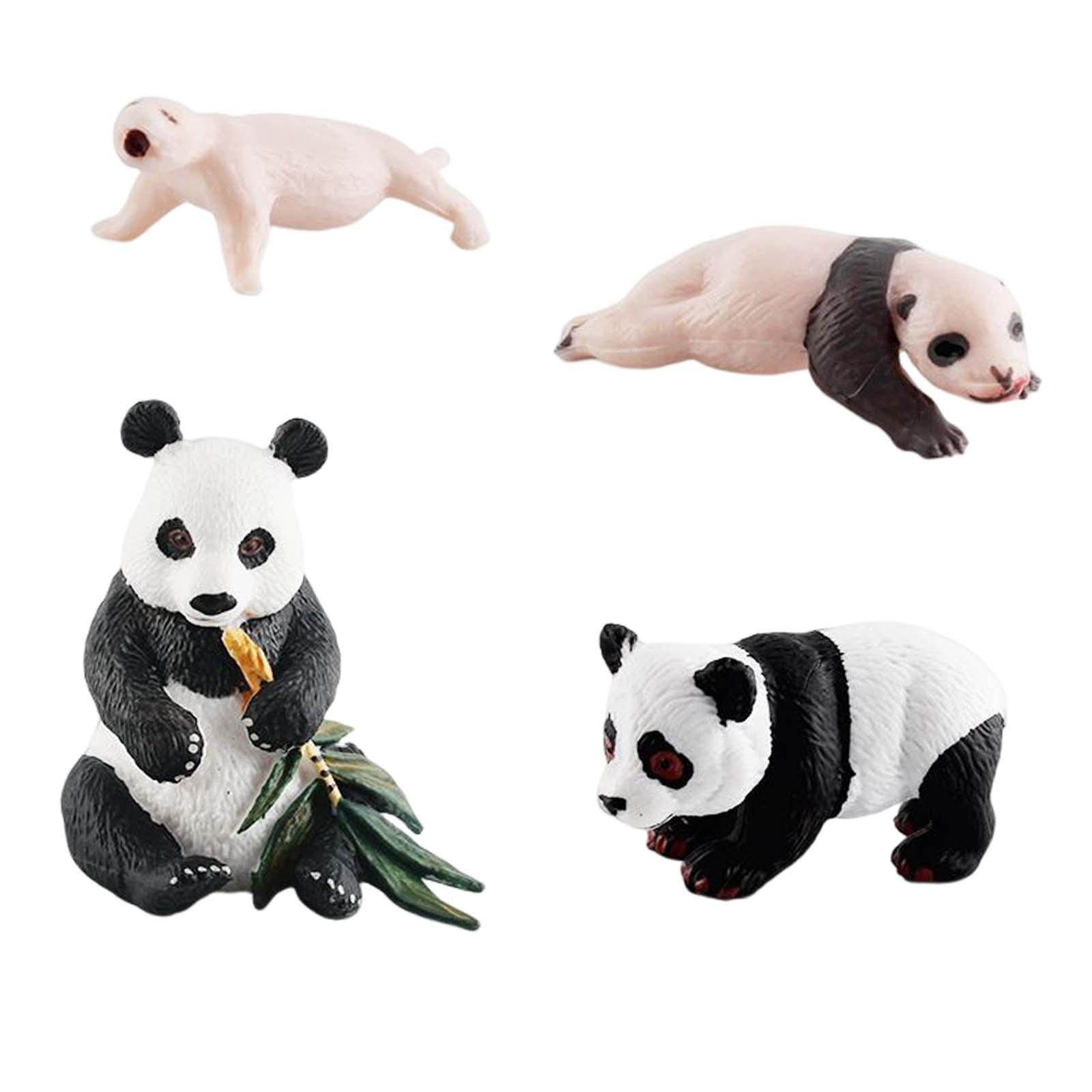 Giant Panda Growth And Development