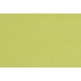 Lia Griffith Extra Fine Crepe Paper, Green Tea Colored Craft Paper ...