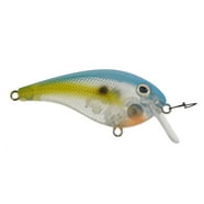 Bay Rat Lures, Short Shallow, Purple Wish - Walmart.com