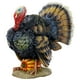 Design Toscano North American Turkey Statue - Walmart.com