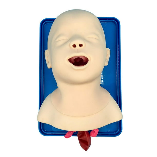 Infant Intubation Trainer,Infant tracheal intubation Model Training ...