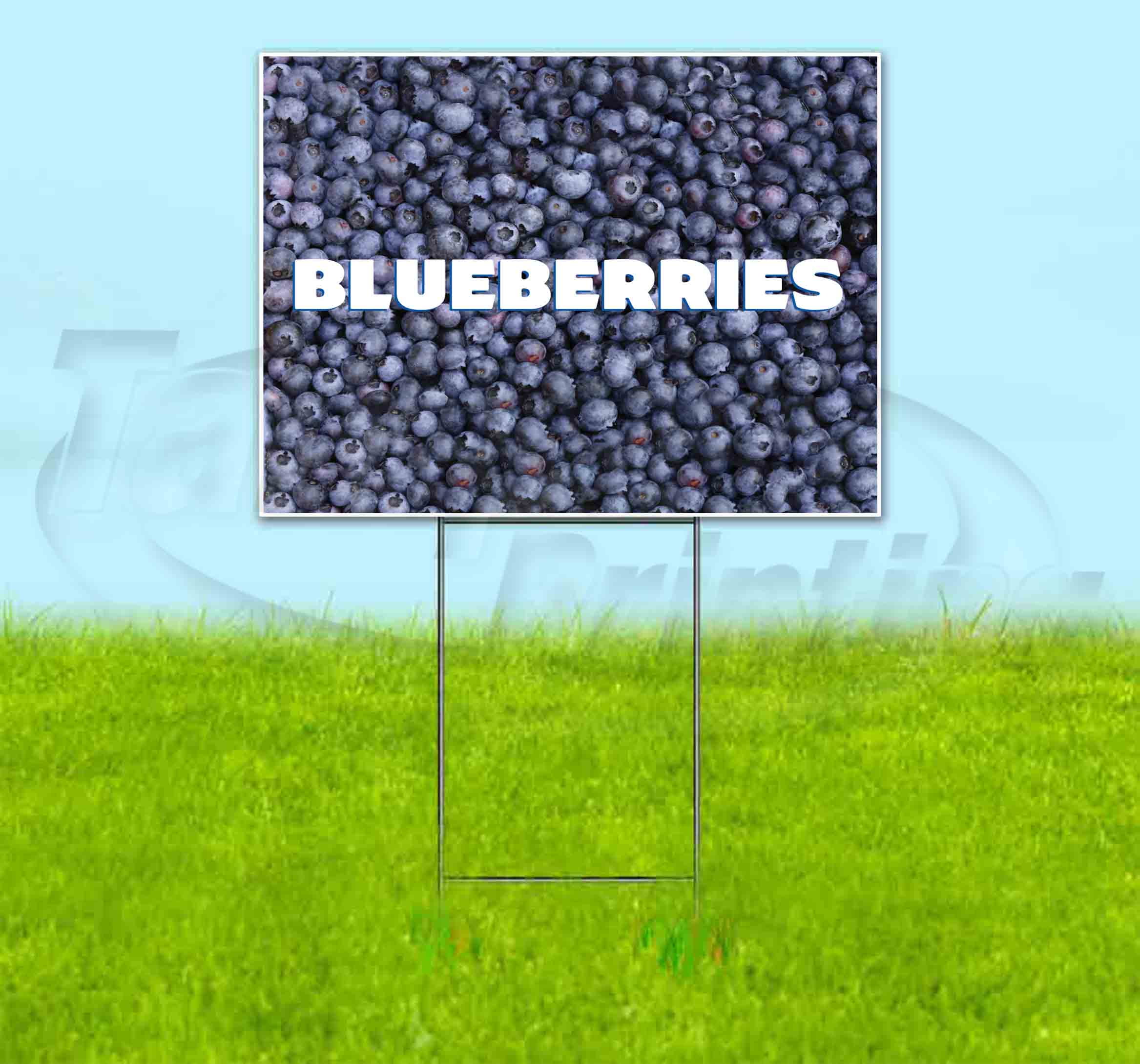 Blueberries V3 (18" x 24") Yard Sign, Includes Metal Step Stake ...