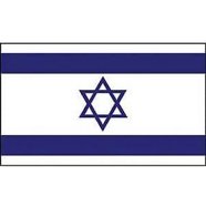 Israel - Small 4"X6" Durable Polyester Stick Flag - Walmart.com