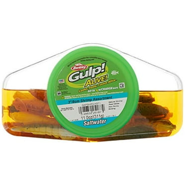Berkley Gulp! Alive! Shrimp Bucket Fishing Bait (3-Inch) - New Penny ...