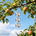 Winter Poetry Upgrade 2PC Reflective Wind Chime Bird Repeller, Rotating ...