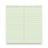 Steno Pads, Gregg Rule, Red Cover, 80 Green-Tint 6 X 9 Sheets | Bundle ...